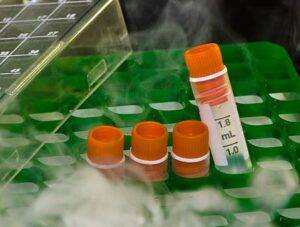 Dry Ice Pakistan | Your Source for Premium Dry Ice Solutions